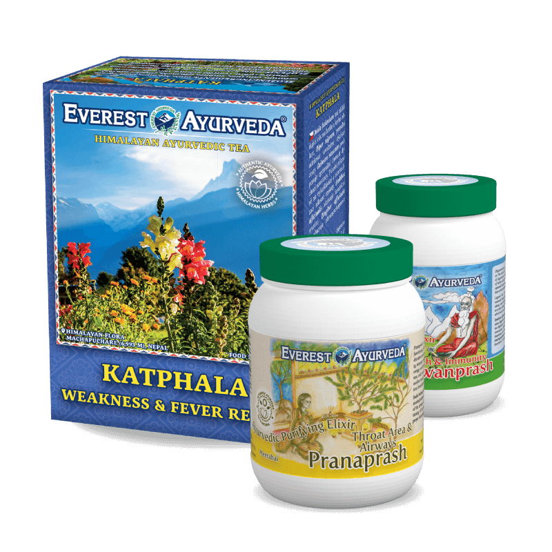 Temperatura elevada & fadiga | Everest Ayurveda